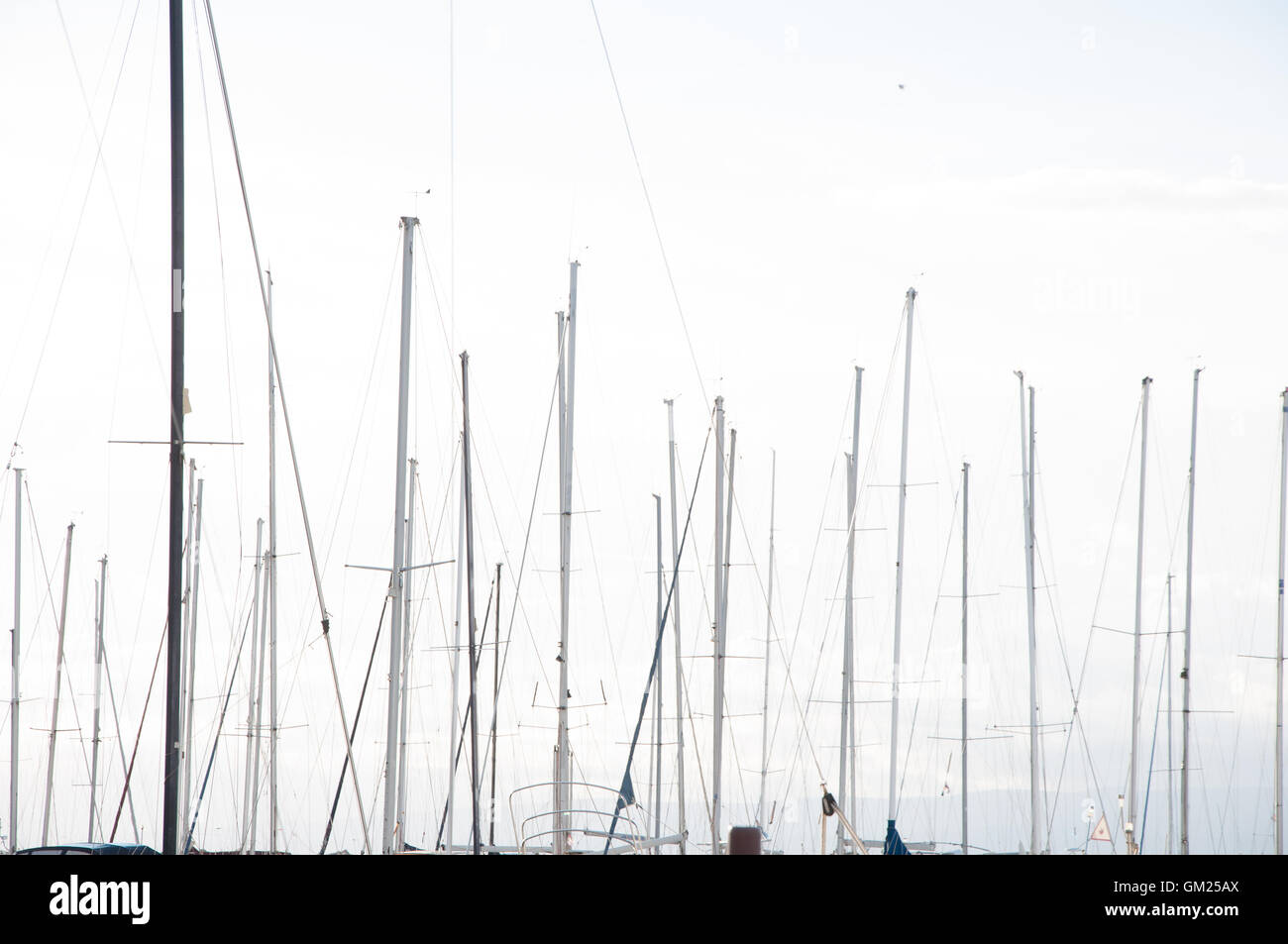 Top sails hi-res stock photography and images - Alamy