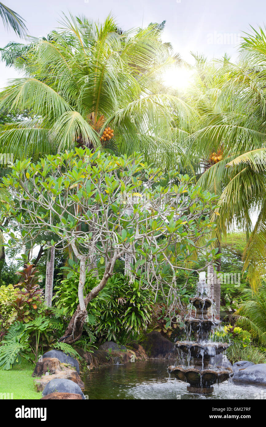 fountain under palm trees in a tropical garden Stock Photo - Alamy