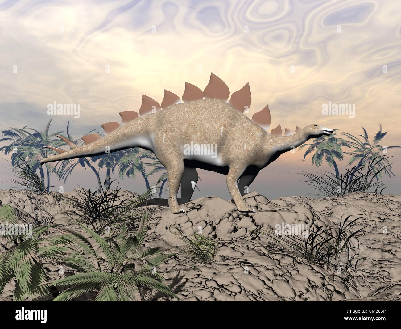 Stegosaurus fossil museum hi-res stock photography and images - Alamy