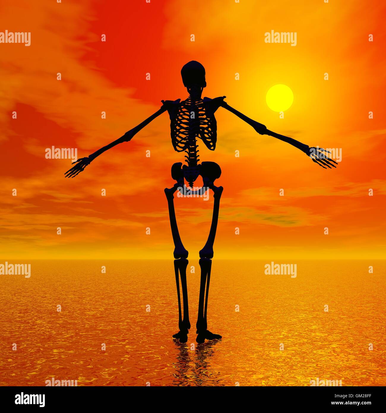 Human skeleton standing anatomy engraving hi-res stock photography and ...