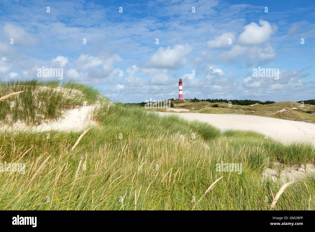 dunes, lighthouse, Amrum Island, North Friesland, Schleswig-Holstein ...