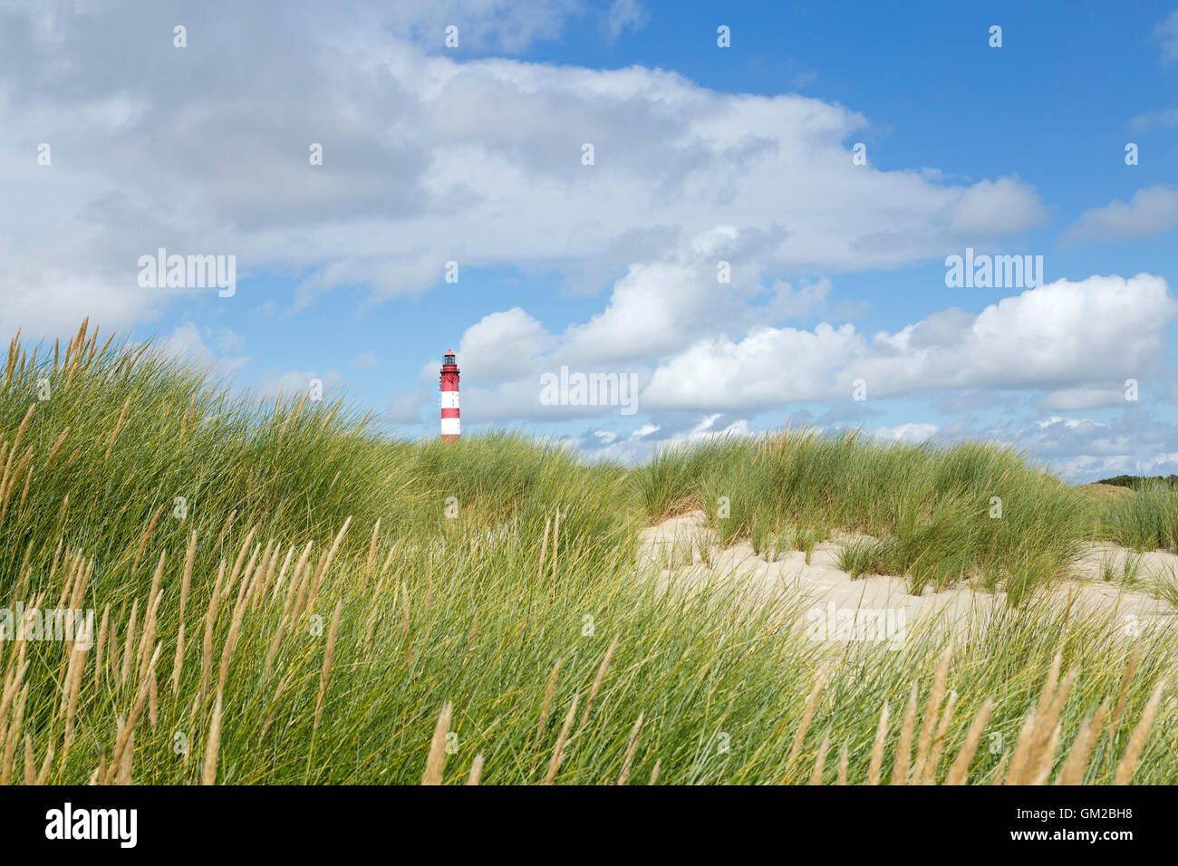 dunes, lighthouse, Amrum Island, North Friesland, Schleswig-Holstein ...