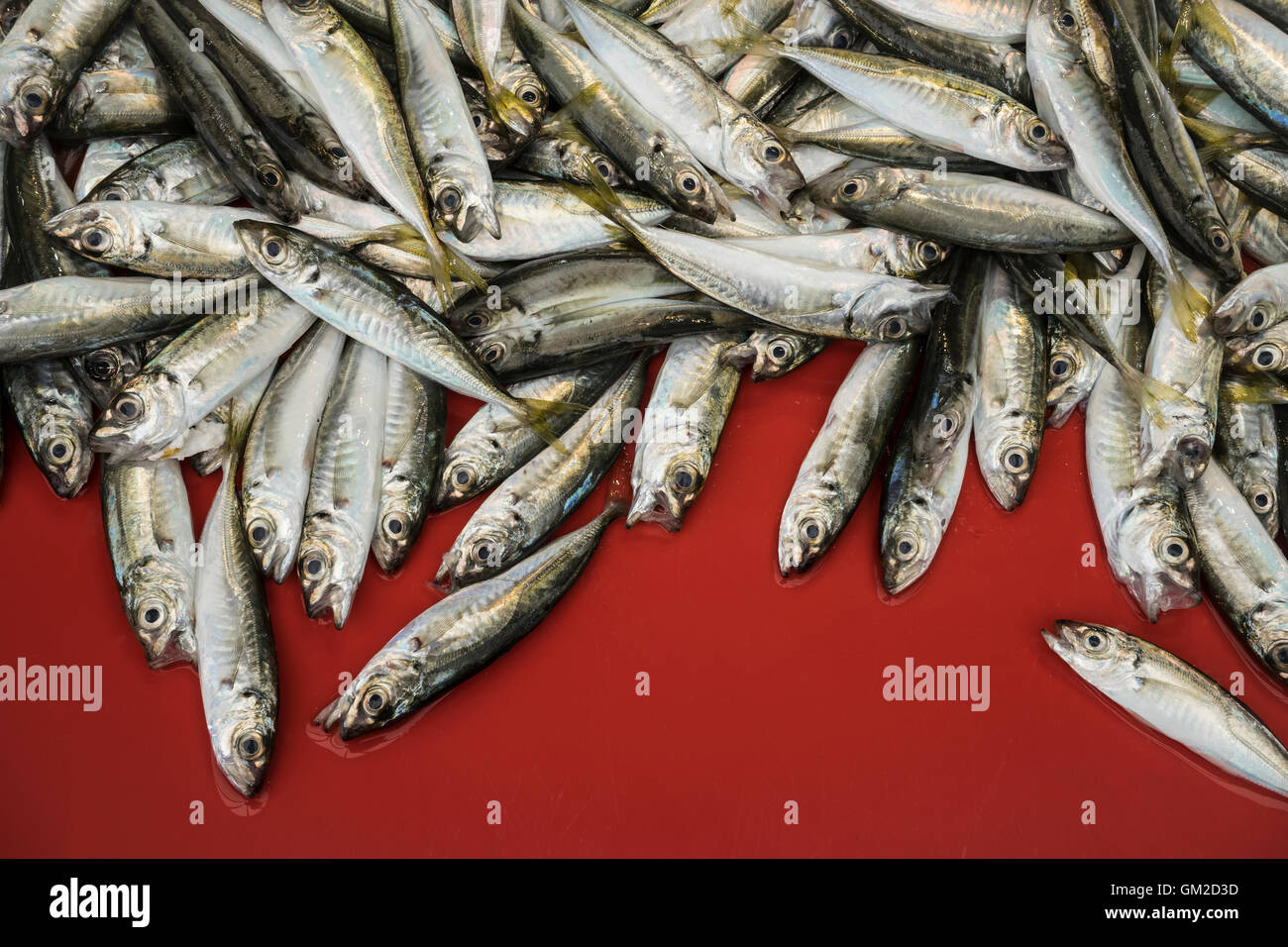 Fishmongers Display Stock Photos & Fishmongers Display Stock Images - Alamy