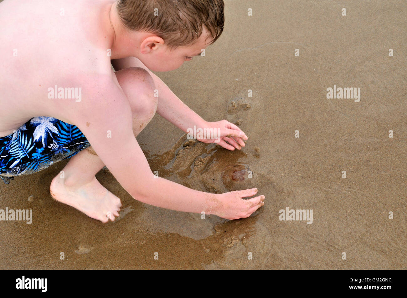 Boy catching jellyfish on shore Stock Photo - Alamy