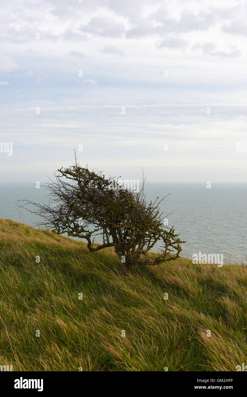 Langdon Cliffs Stock Photos & Langdon Cliffs Stock Images - Alamy