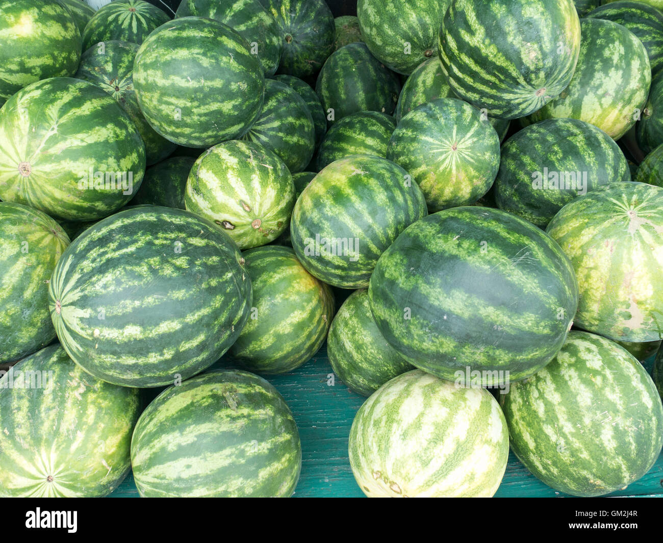 Watermelons fruit hi-res stock photography and images - Alamy