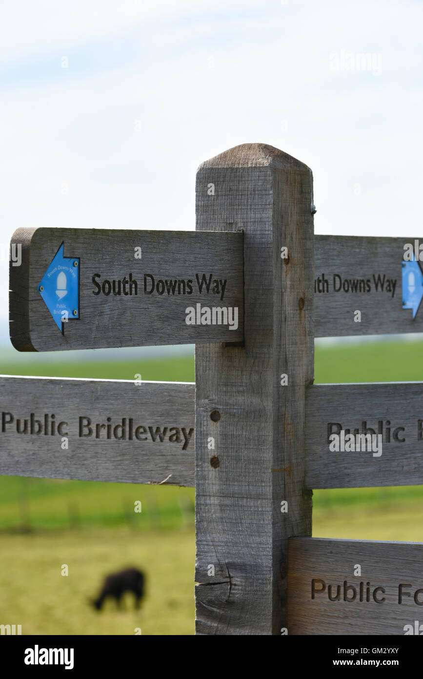 A wooden sign showing the direction of The South Downs Way in Sussex ...