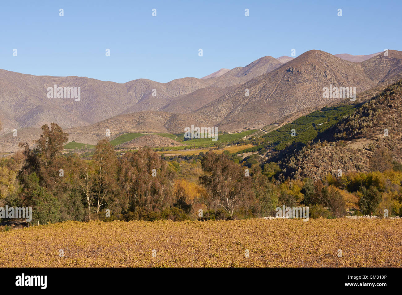 Limari valley chile hi-res stock photography and images - Alamy