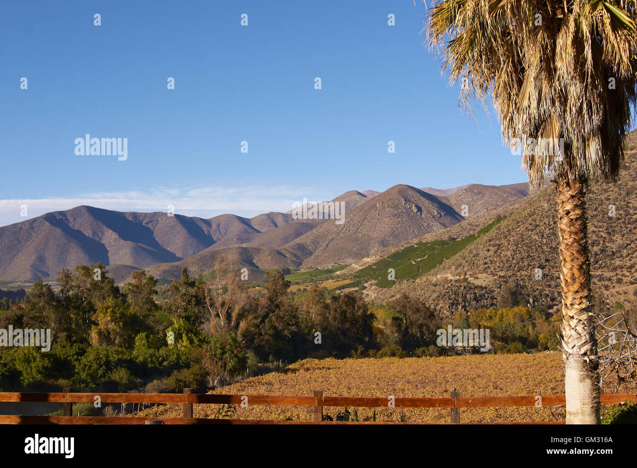 Chile vineyards limari hi-res stock photography and images - Alamy
