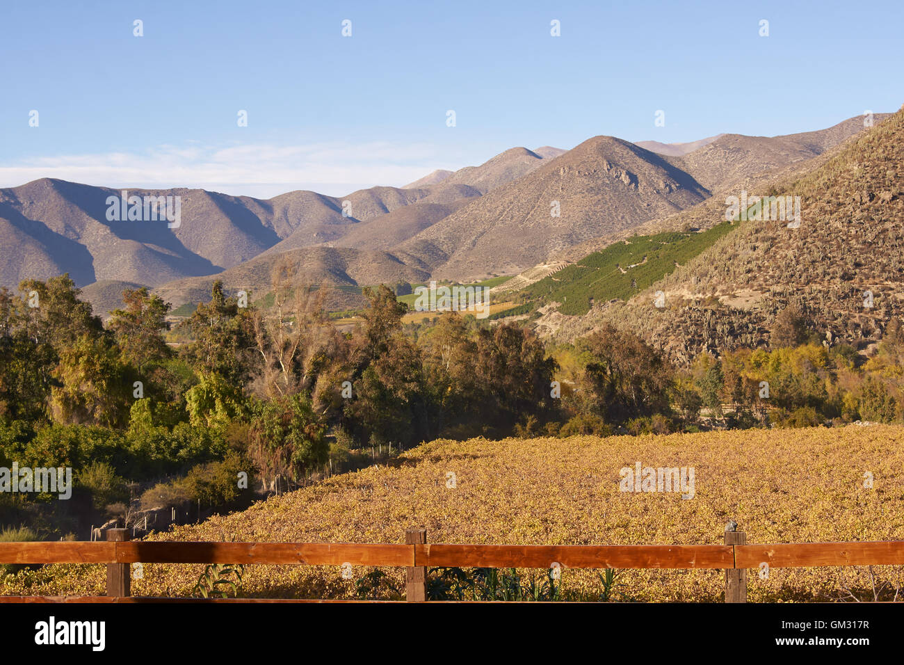 Chile vineyards limari hi-res stock photography and images - Alamy