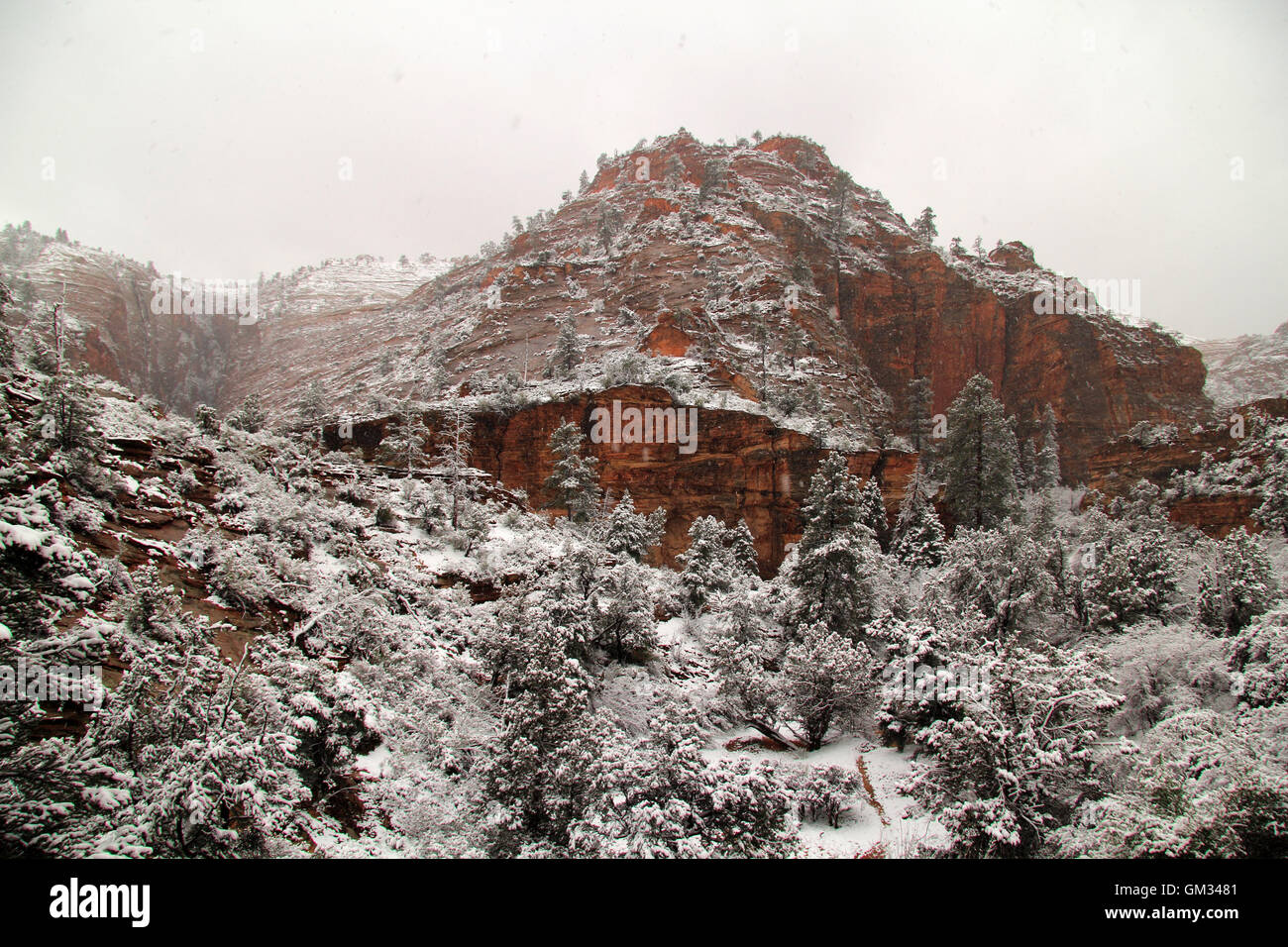 Beautiful Winter Landscape in Zion National Park, Utah Stock Photo - Alamy