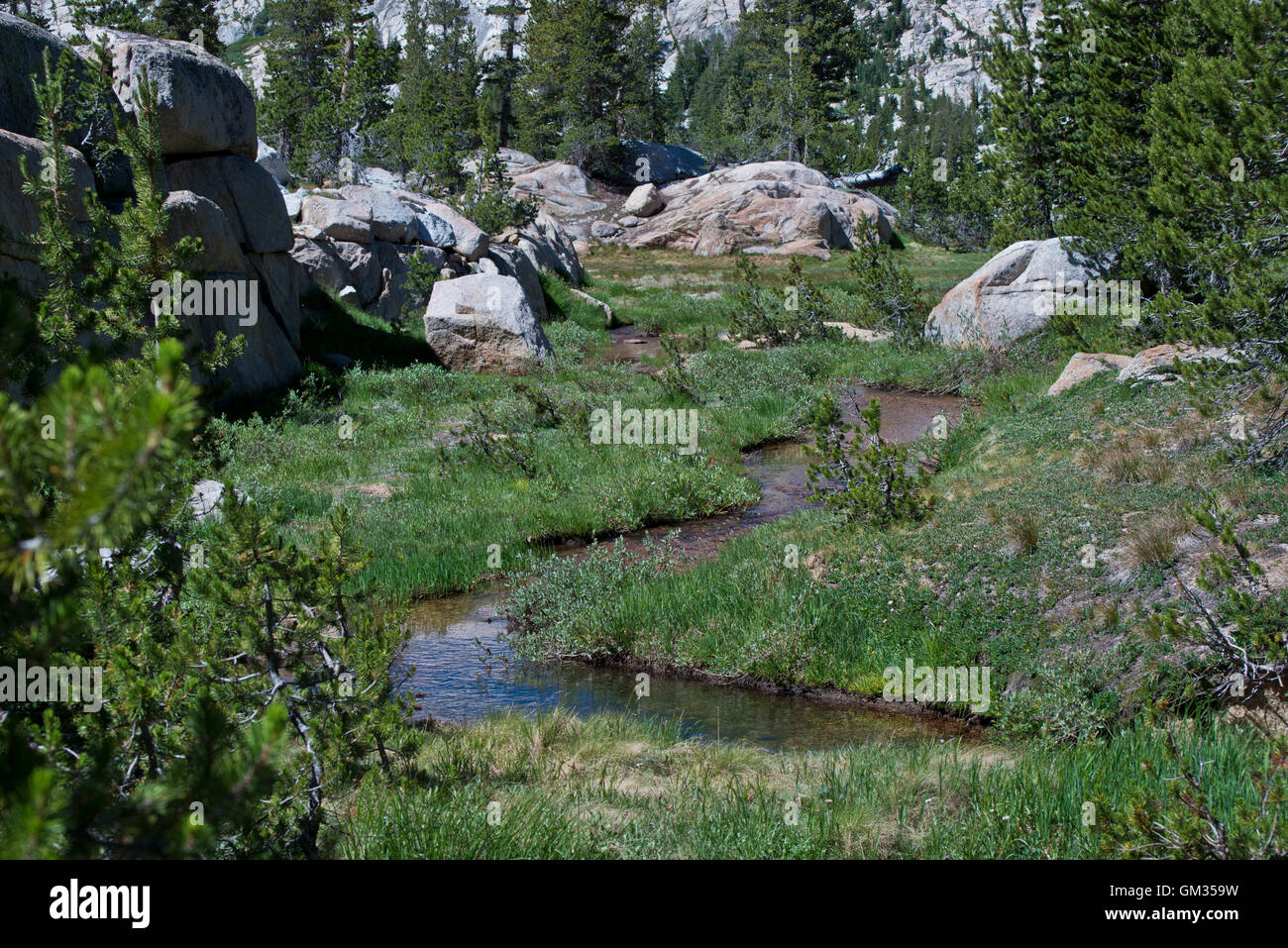 Alpine creek on the Benson Lake Loop trail Stock Photo - Alamy