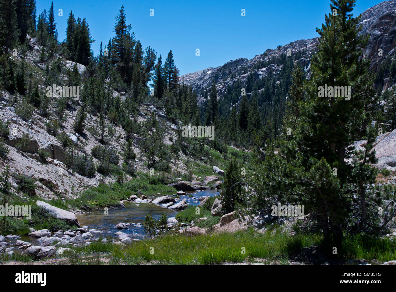 Alpine creek on the Benson Lake Loop trail in the Yosemite wilderness ...