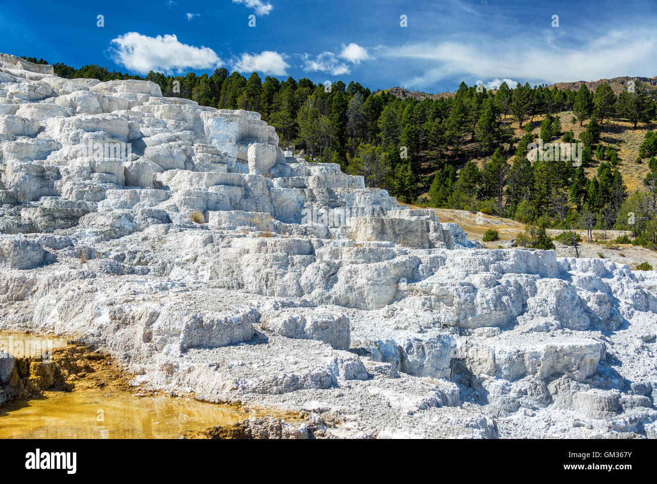 White travertine terraces in Yellowstone National Park at Mammoth Hot ...