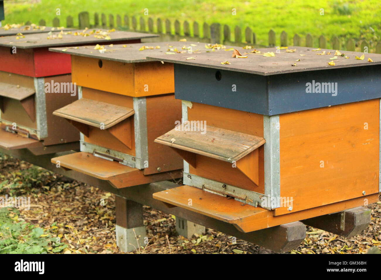 Beehives in garden country hi-res stock photography and images - Alamy
