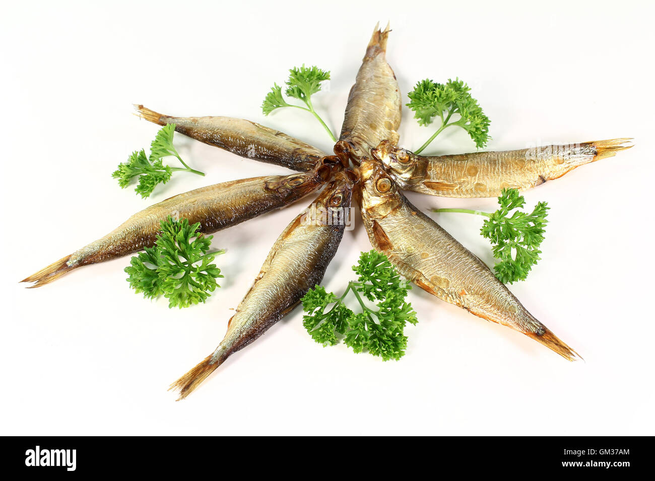 Fresh sprats fish hi-res stock photography and images - Alamy