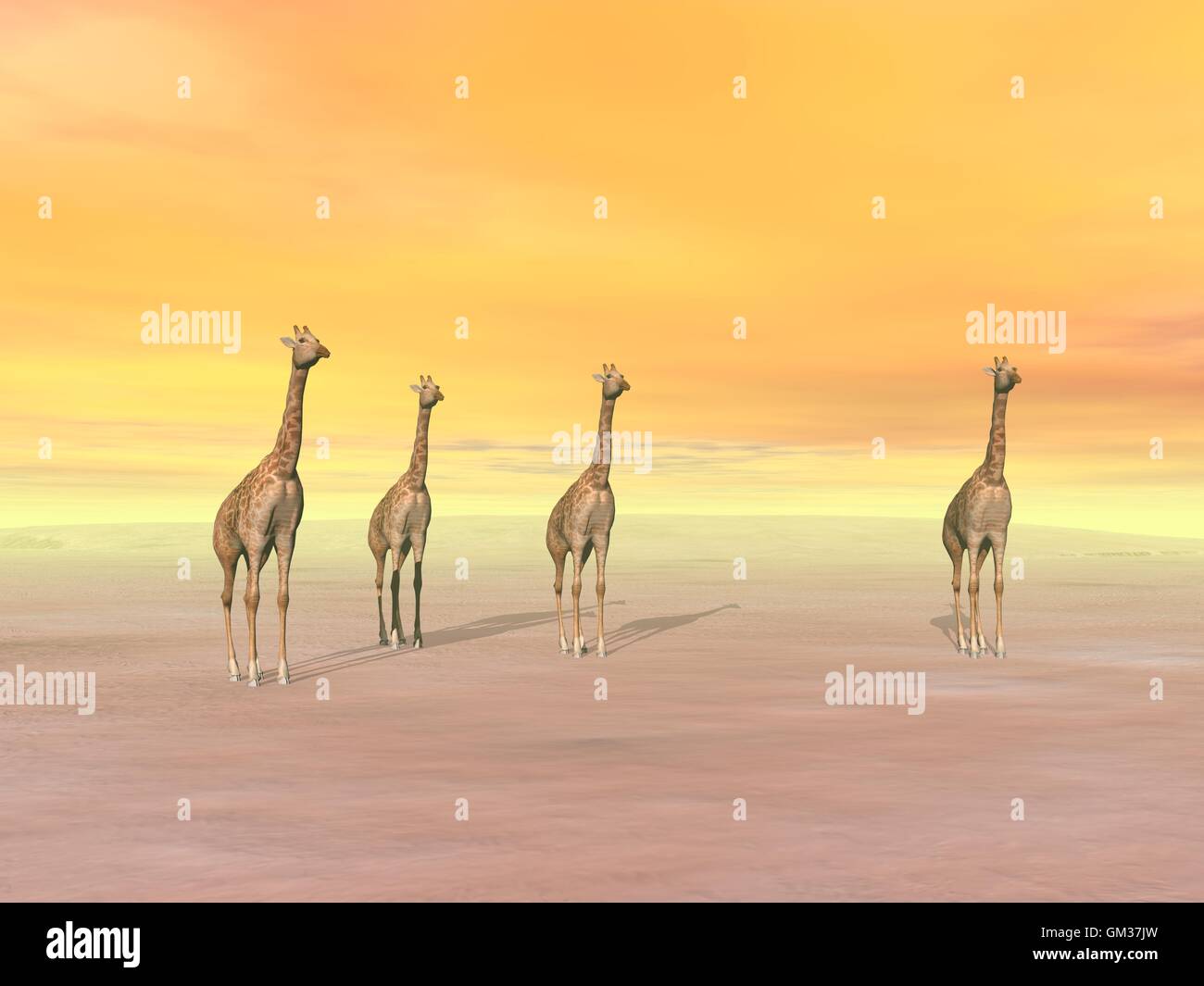 Giraffes in the desert - 3D render Stock Photo - Alamy