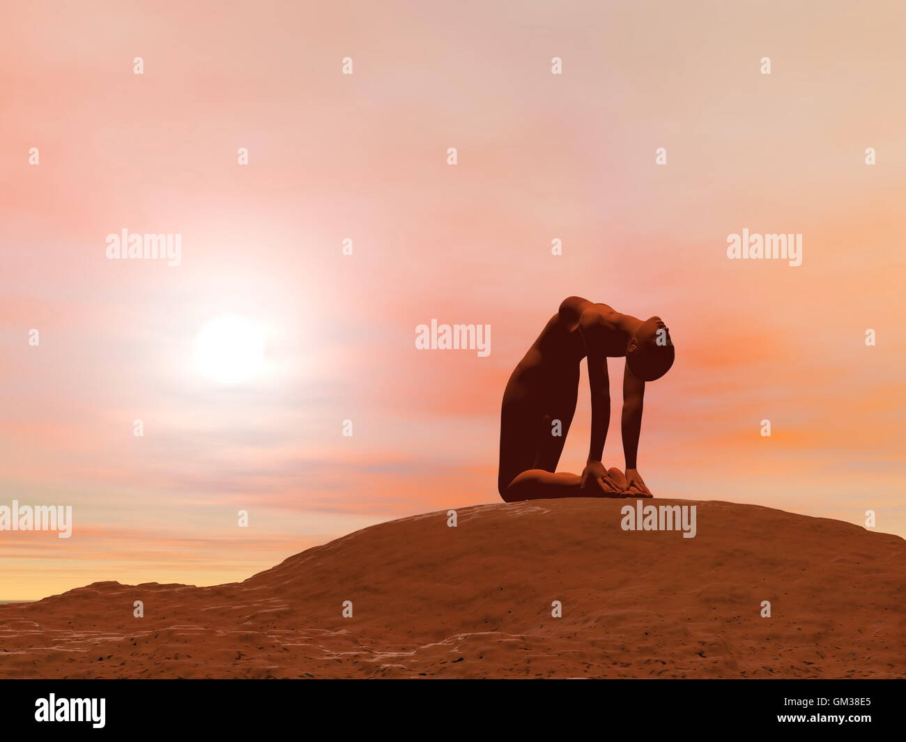 Camel lotus hi-res stock photography and images - Alamy