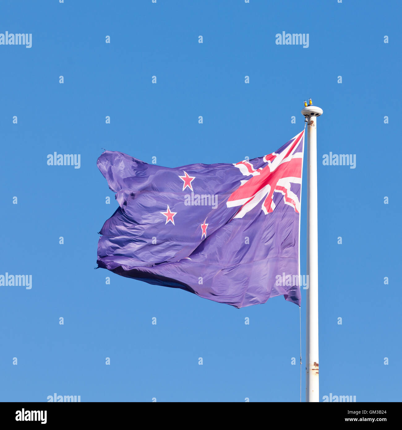 New zealand national flag hi-res stock photography and images - Alamy