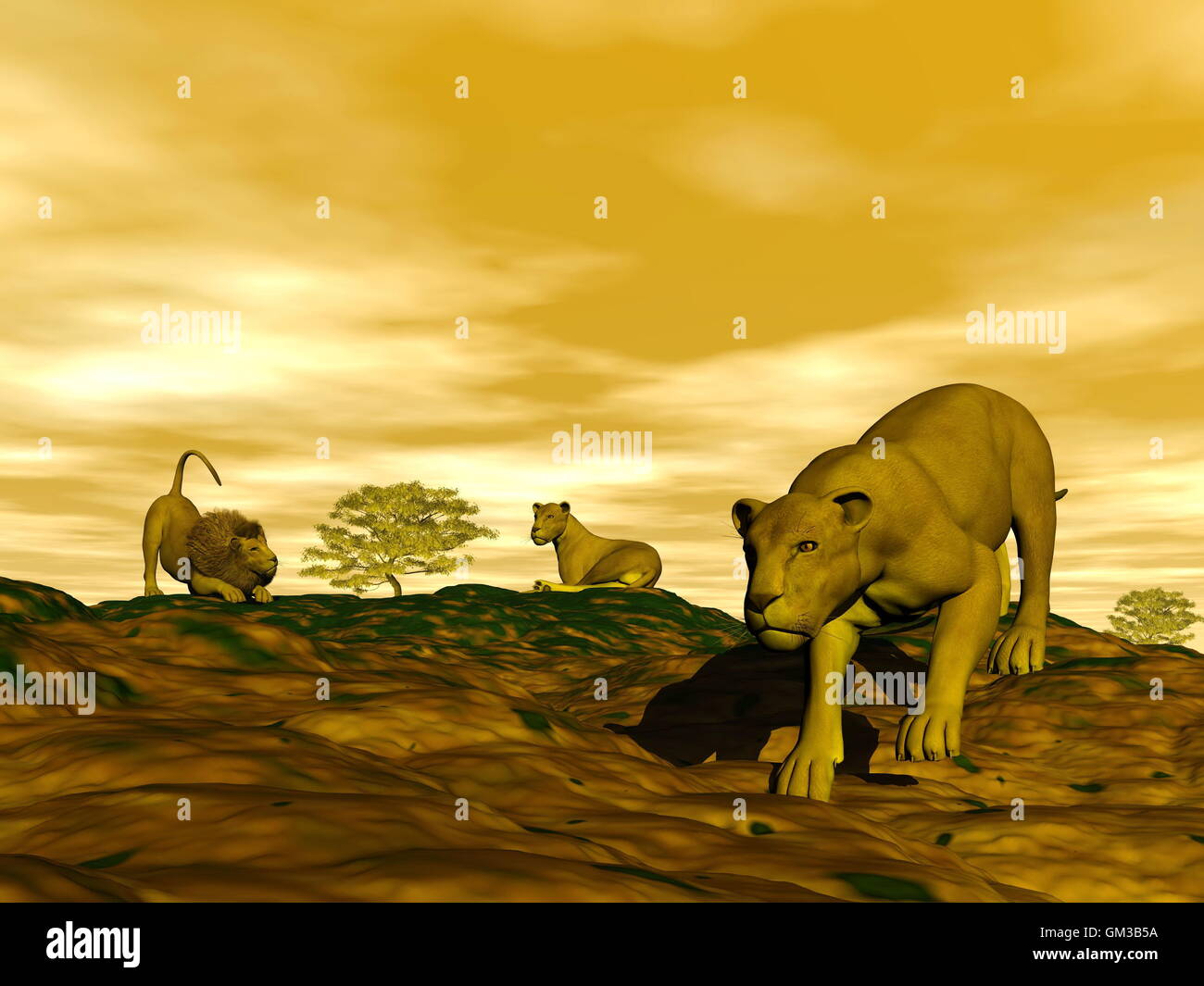 Group of lions in the savannah Stock Photo - Alamy