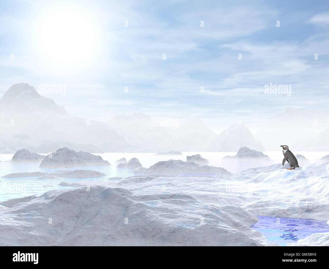 Penguin looking at the sun - 3D render Stock Photo - Alamy