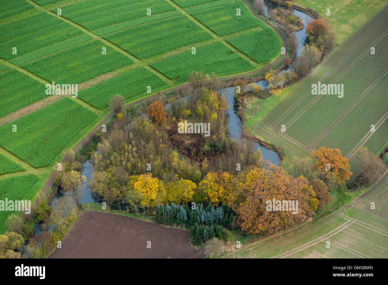 Of ahse hi-res stock photography and images - Alamy
