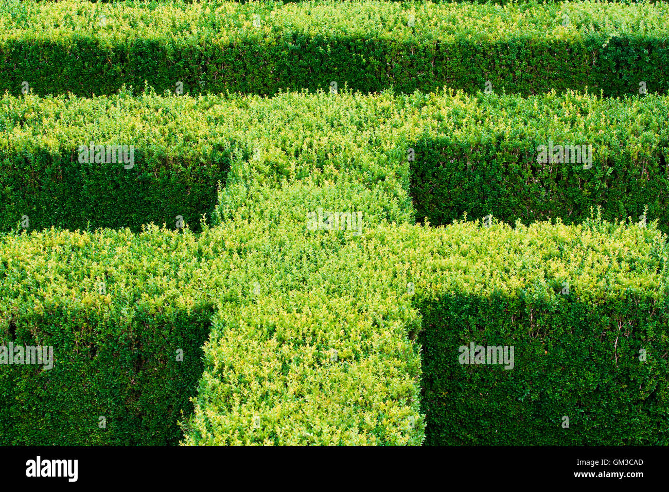 Maze hedge pattern labyrinth hi-res stock photography and images - Alamy