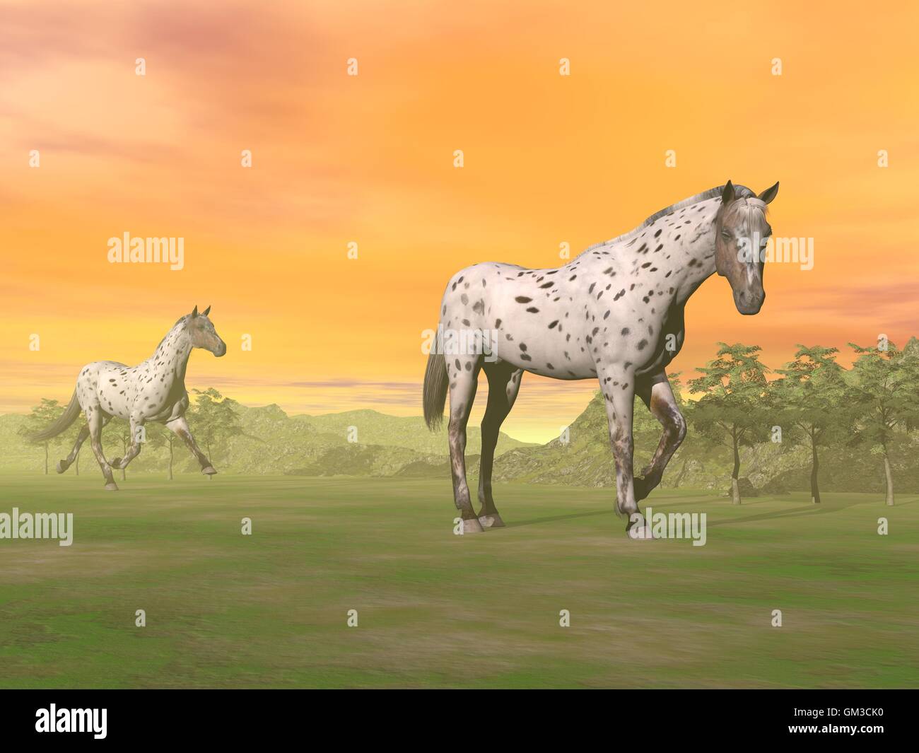 Leopard horses in nature - 3D render Stock Photo - Alamy