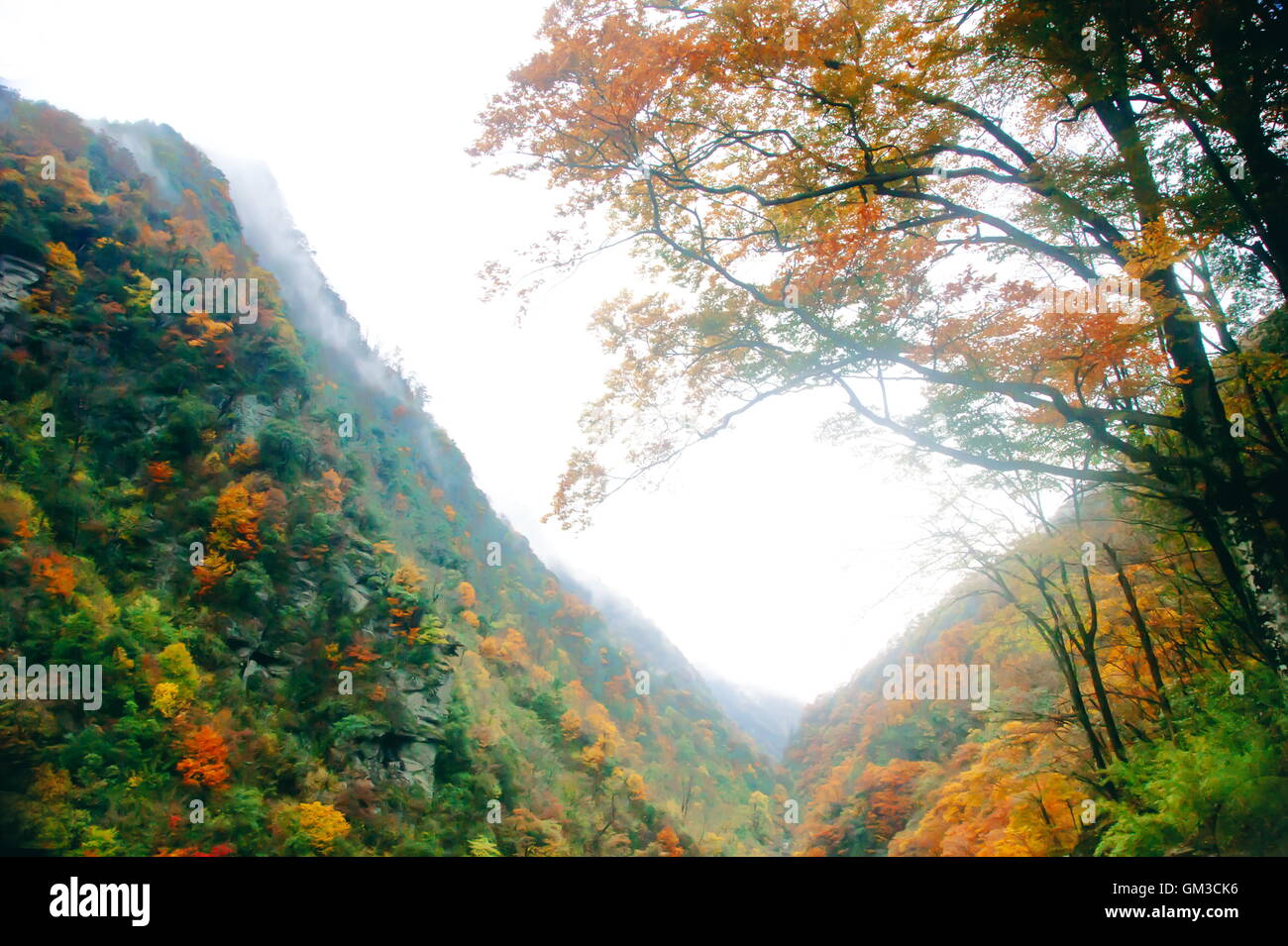 Beautiful autumn landscape in Shennongjia Mountains, Hubei, China Stock ...