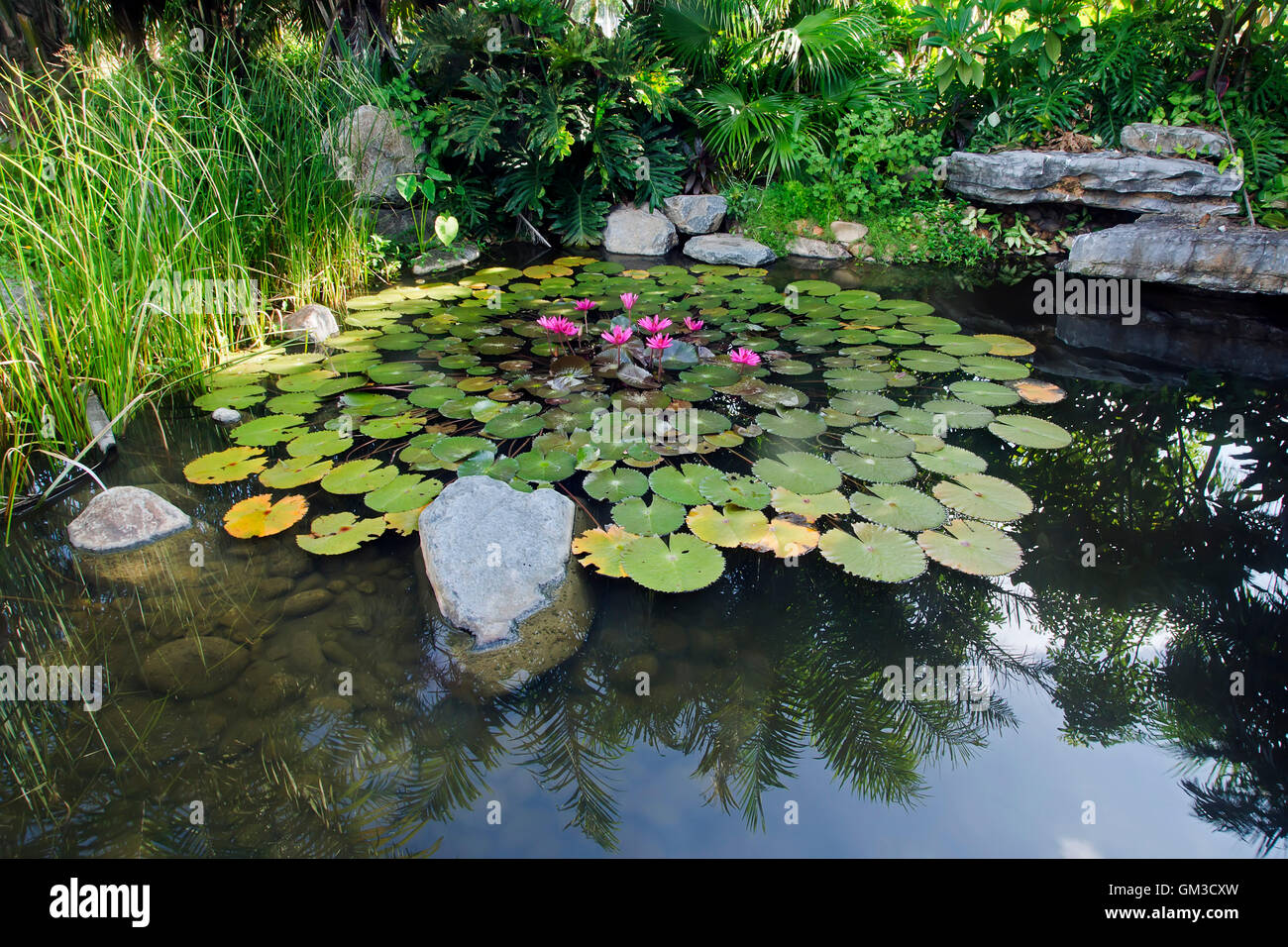 Courtyard landscape of modern residential building Stock Photo - Alamy