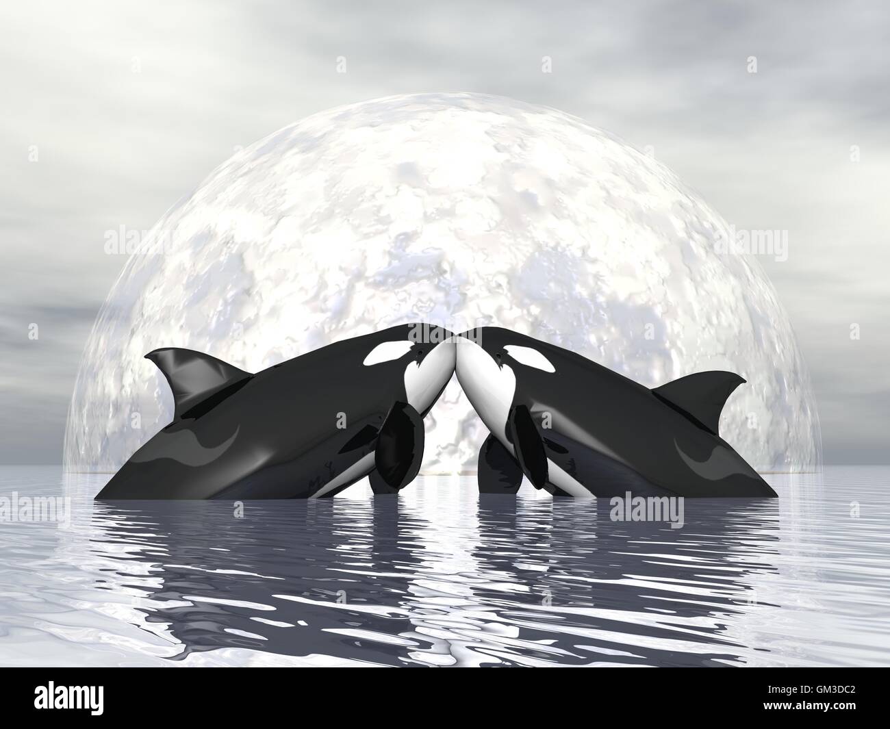 Orca love - 3D render Stock Photo - Alamy