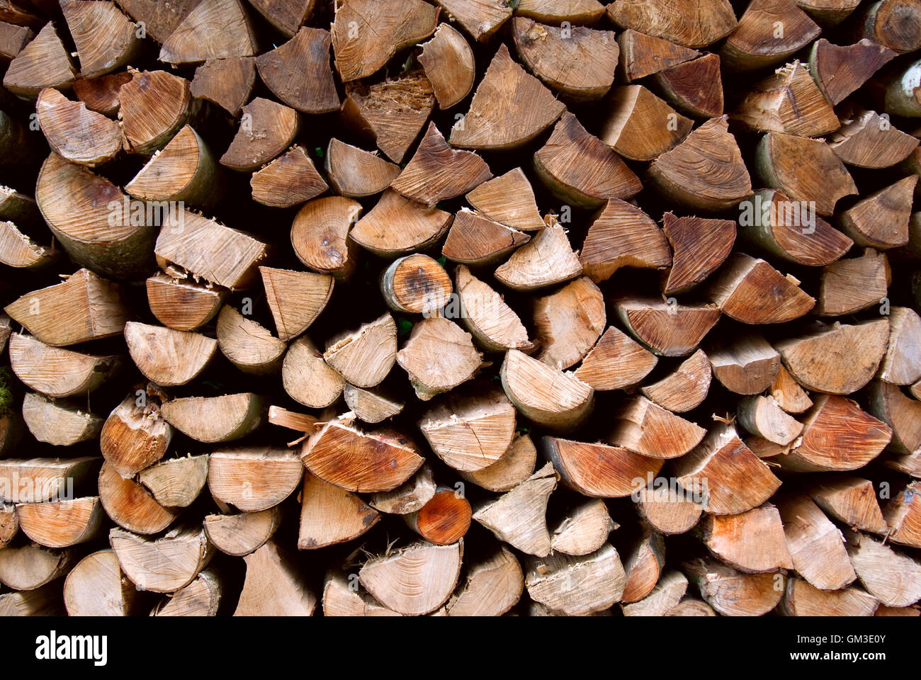 logs of wood Stock Photo - Alamy