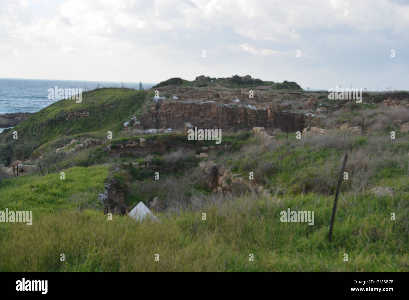 Tel dan hi-res stock photography and images - Alamy