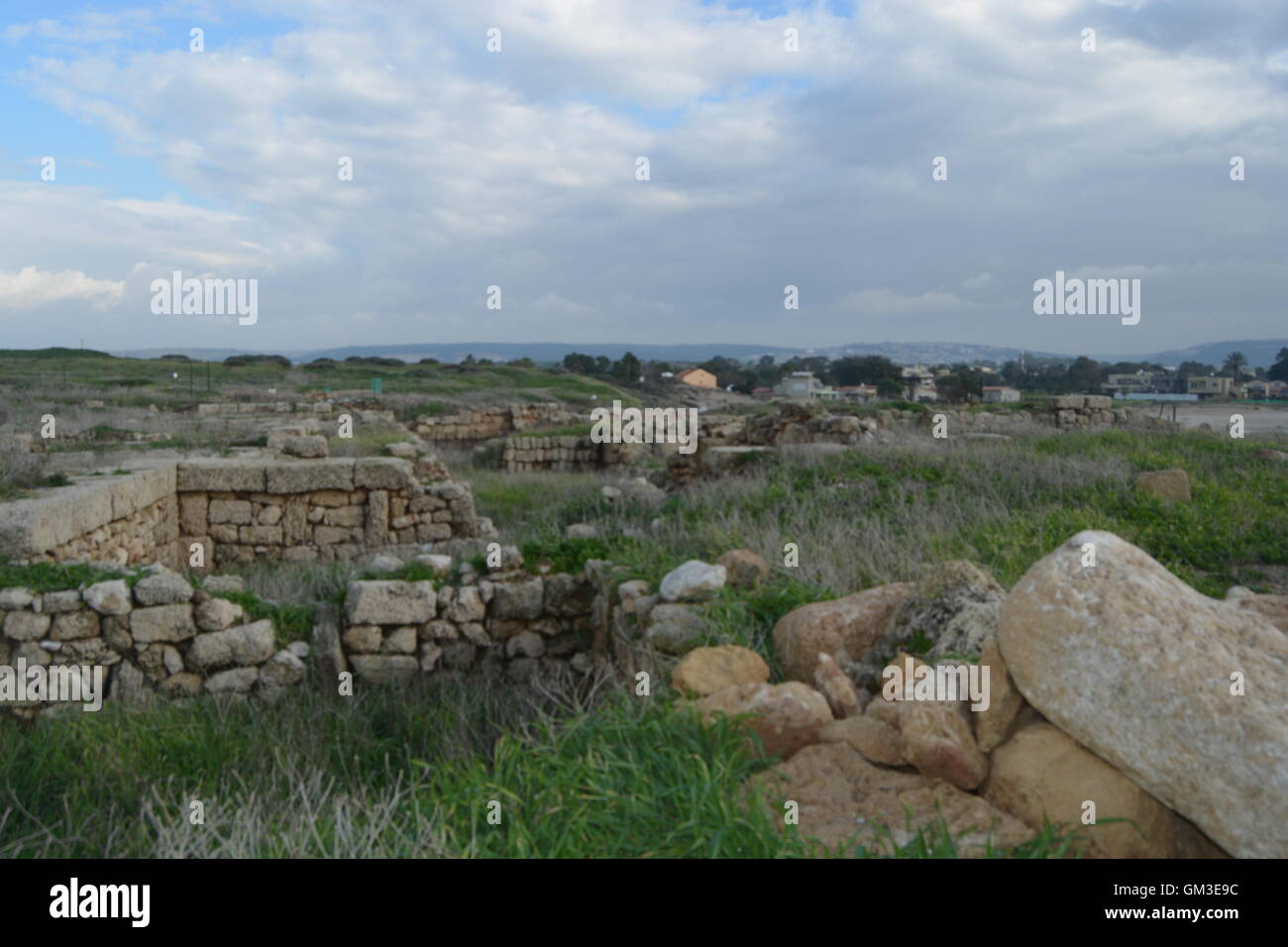 Tel Dan, Israel Stock Photo - Alamy
