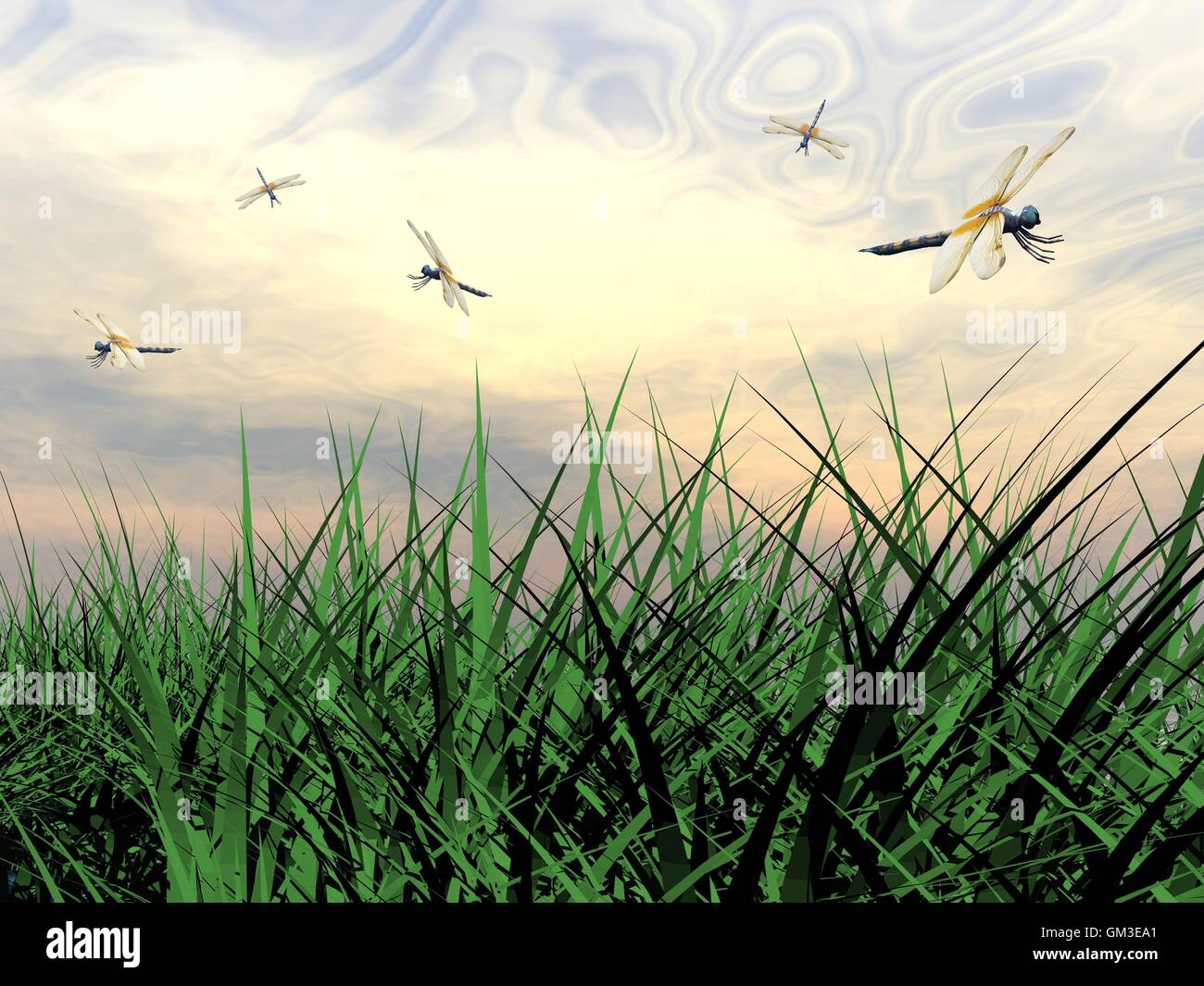 Dragonfly 3d hi-res stock photography and images - Alamy