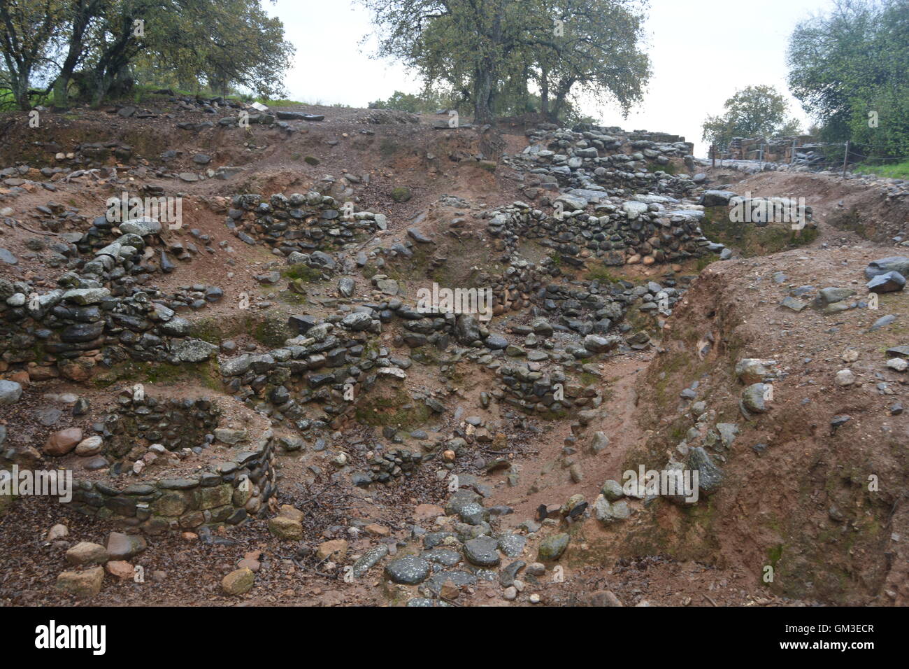 Tel Dan, Israel Stock Photo - Alamy