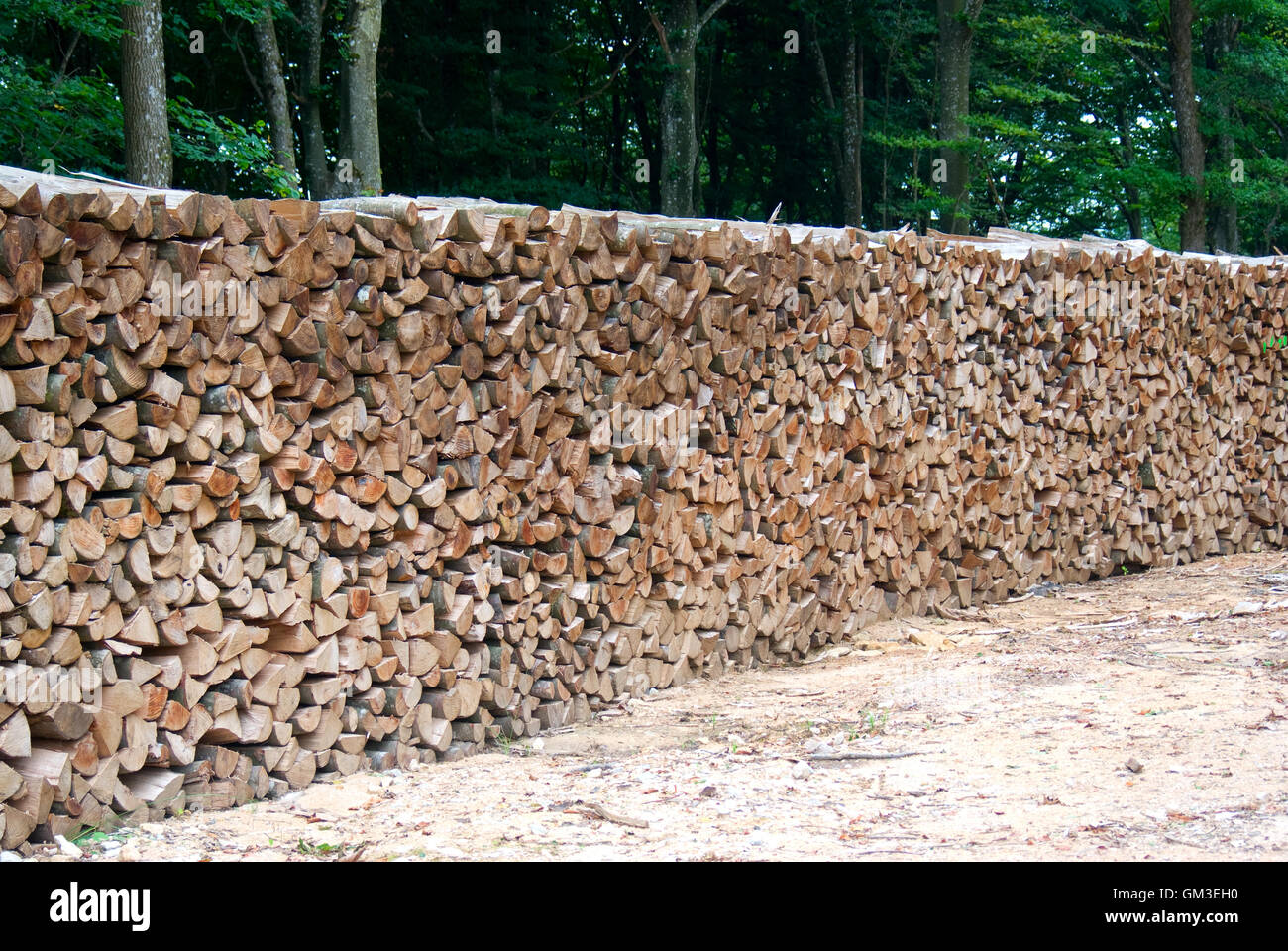 Log fir hi-res stock photography and images - Alamy