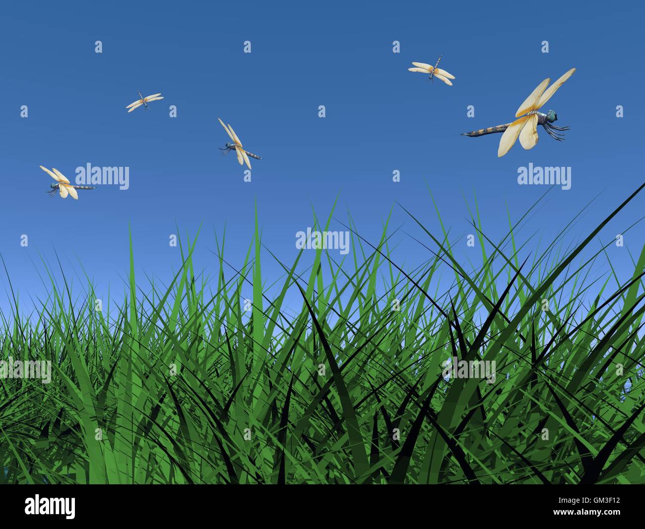 Dragonfly 3d hi-res stock photography and images - Alamy