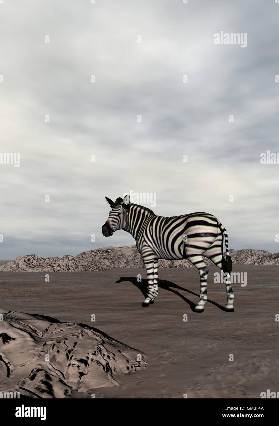 Zebra in the desert - 3D render Stock Photo - Alamy