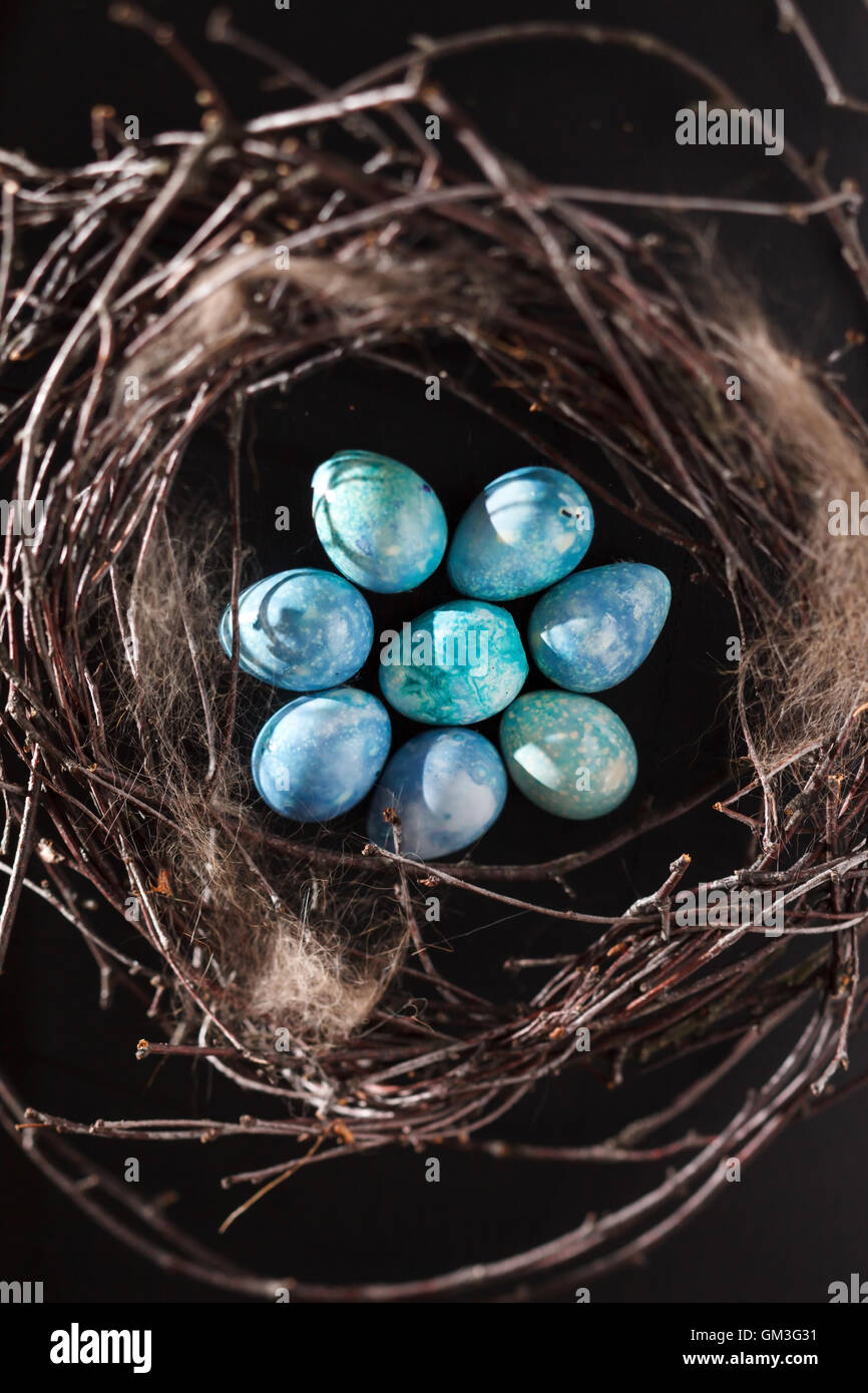 blue eggs in the nest Stock Photo - Alamy