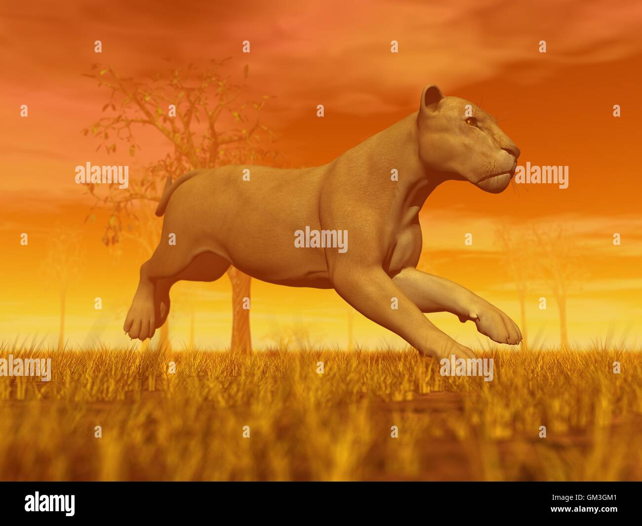 African lion 3d render hi-res stock photography and images - Alamy