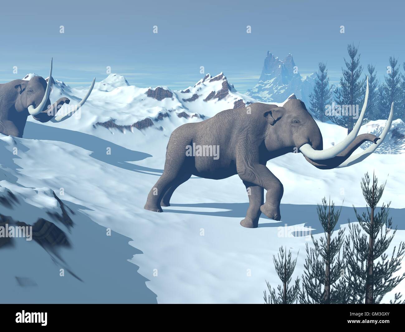 Mammoth tusk europe hi-res stock photography and images - Alamy