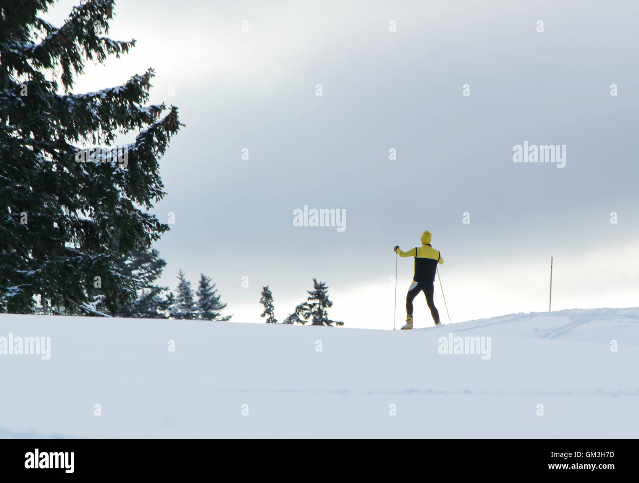Cross country skier Stock Photo - Alamy