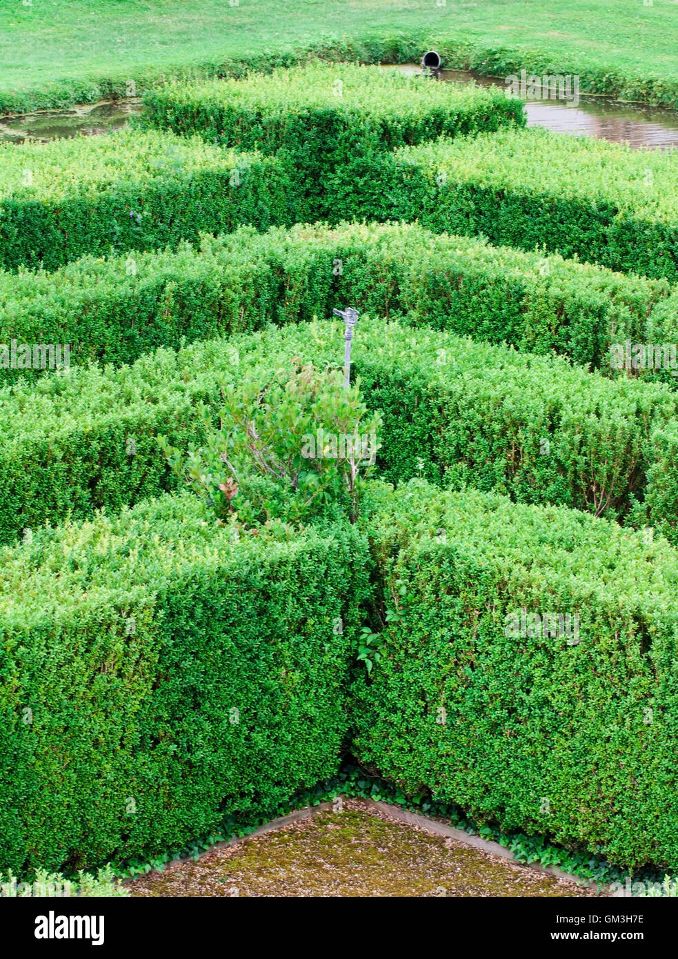 Maze hedge pattern labyrinth hi-res stock photography and images - Alamy