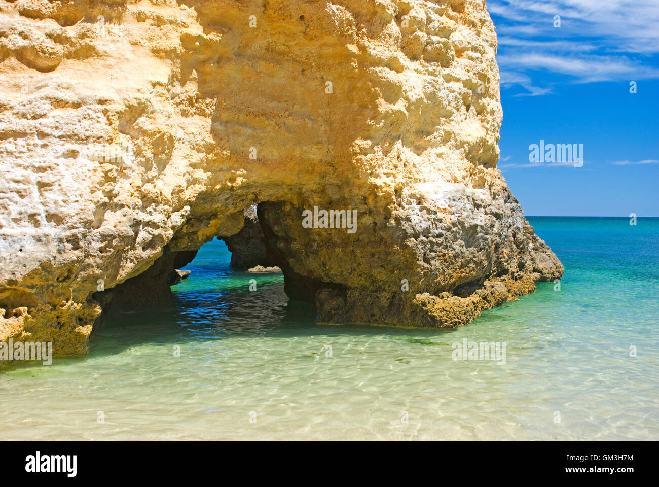 Pinha High Resolution Stock Photography and Images - Alamy