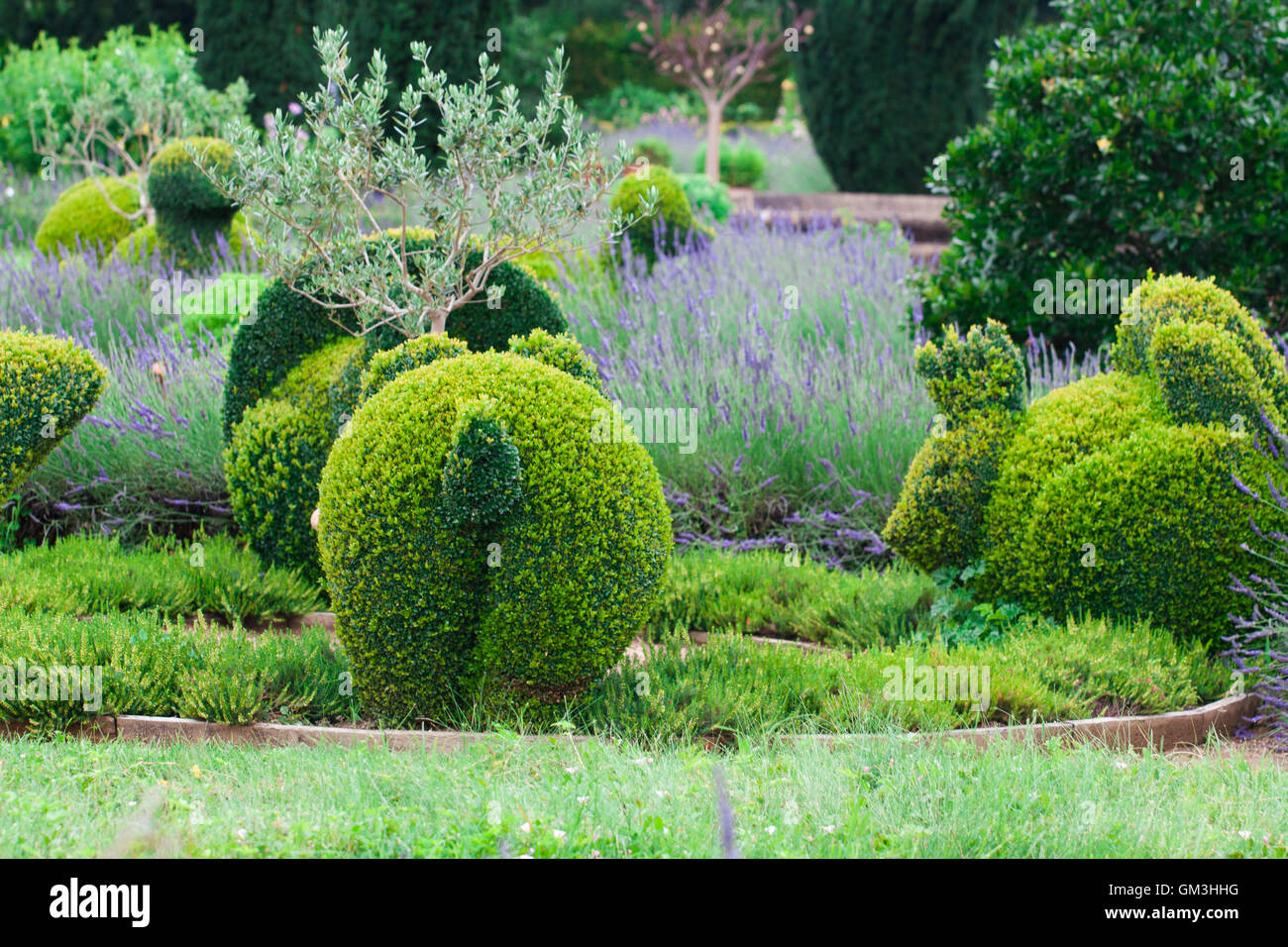 Classical design hi-res stock photography and images - Alamy