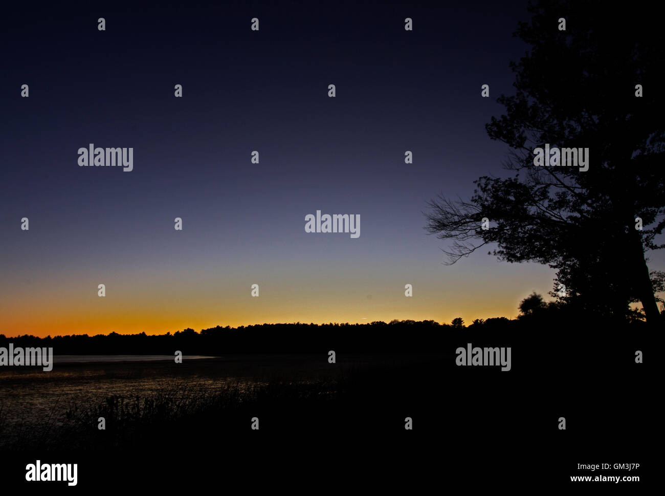 Sunset over a freshwater pond Stock Photo - Alamy