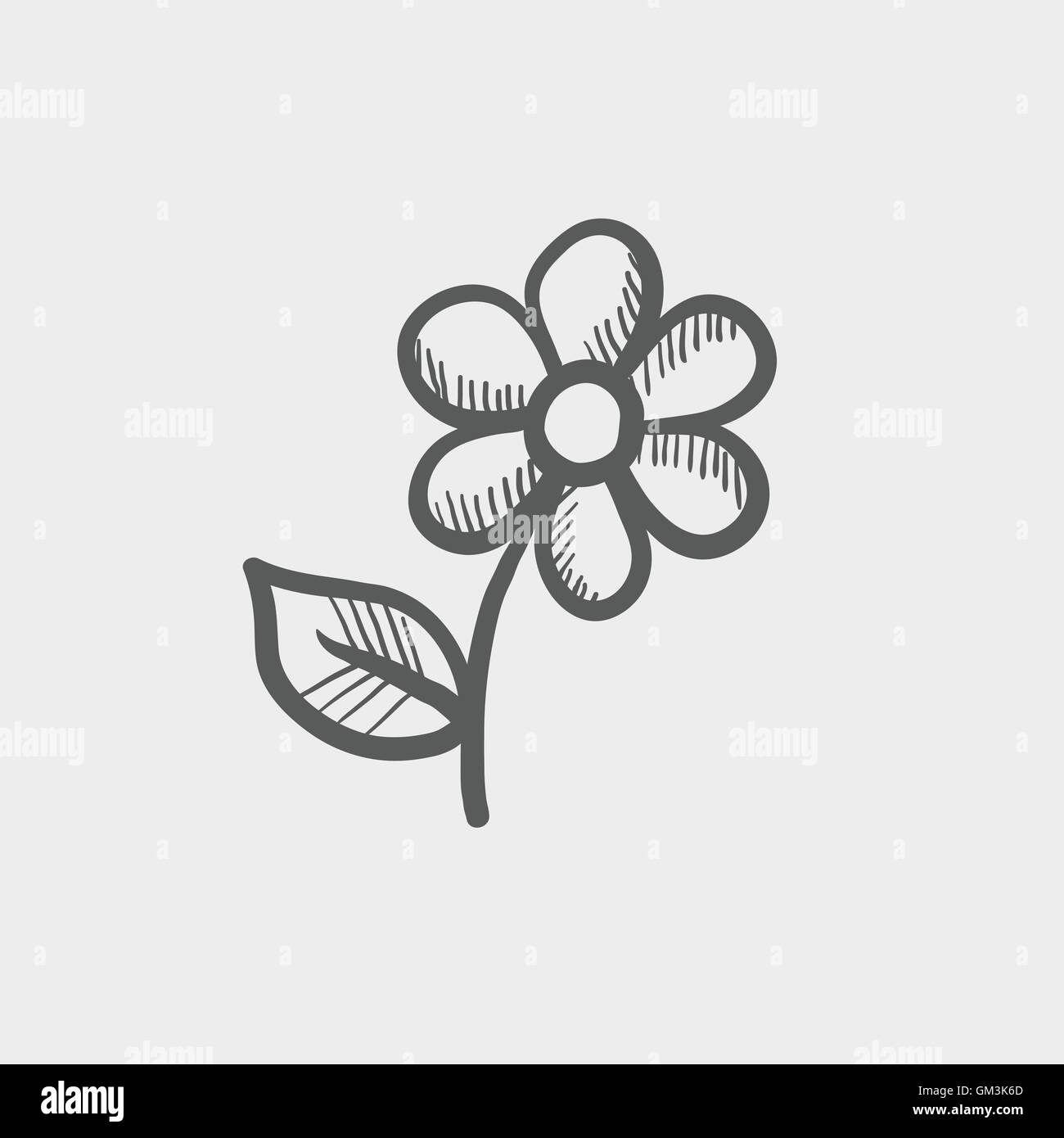 Vector daisy flower clipart Stock Vector Images - Alamy