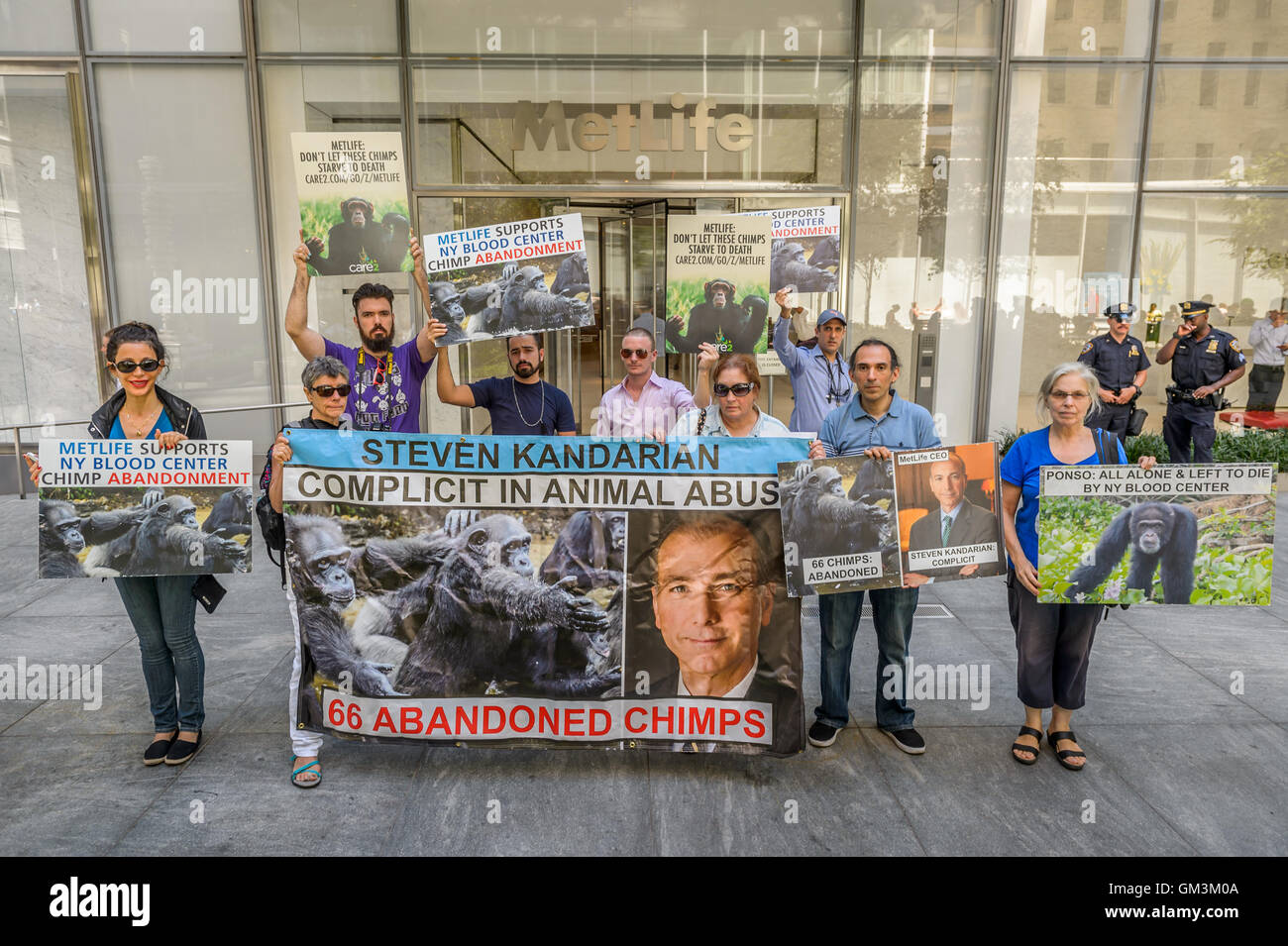 Save the chimps hi-res stock photography and images - Alamy