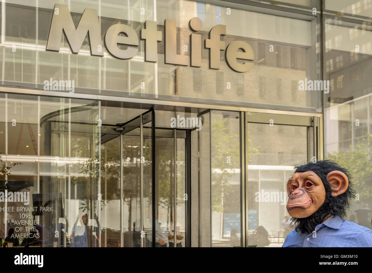 Save The Chimps High Resolution Stock Photography and Images - Alamy